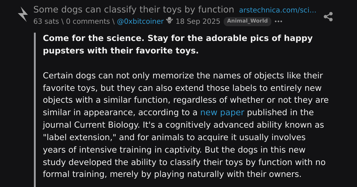 Some dogs can classify their toys by function \ stacker news ~Animal_World