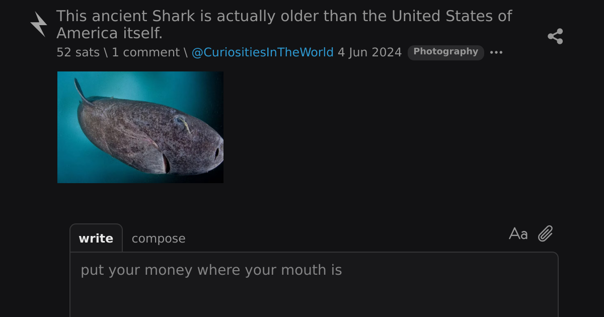 This ancient Shark is actually older than the United States of America ...