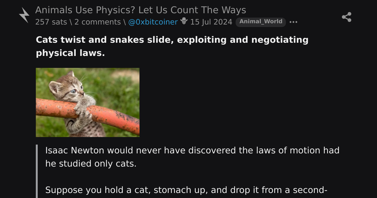 Animals Use Physics? Let Us Count The Ways \ stacker news